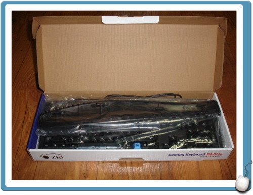 Bless ZIO DT35 USB 블랙 게이밍 키보드 (손목받침대 포함) 체험단 후기 : 다나와 DPG는 내맘을 디피지